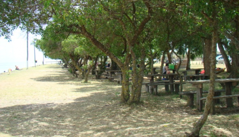 La magia de La Bahía de Samborombón - Faro Noticias diario digital de ...